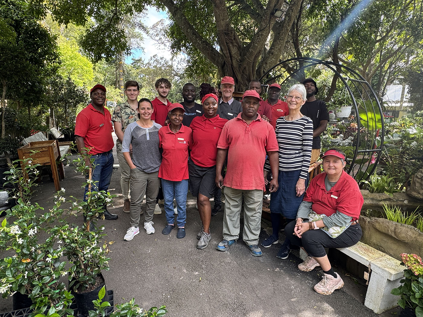 Nursery - Sherwood Garden Centre